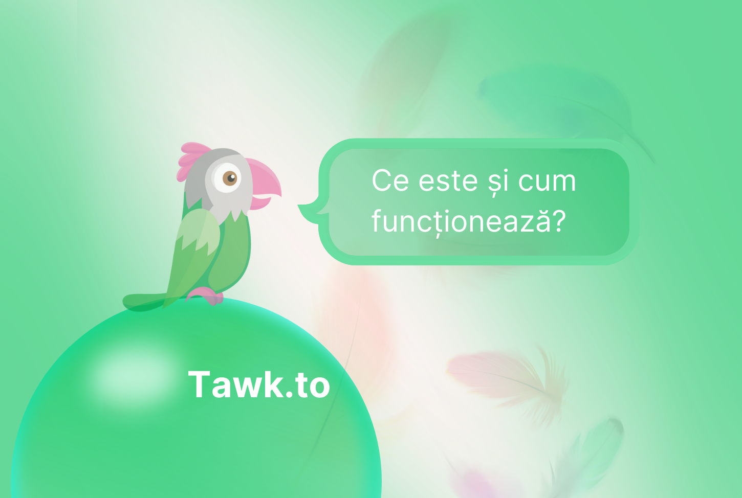 Tawk.to - chat gratuit | WebWave